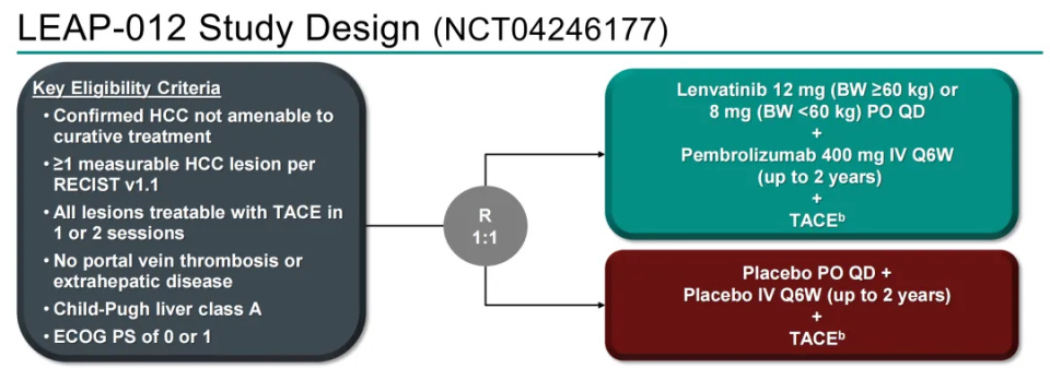 荚卫东教授：EMERALD-1肿瘤负荷探索性分析，为TACE联合系统治疗中晚期肝癌带来更多思考_腾讯新闻