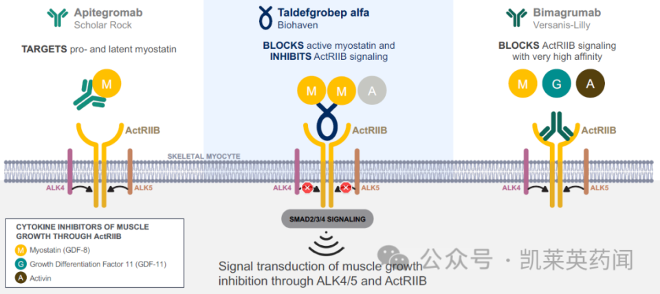 JPM 2024| 辉瑞/Biohaven：布局20个适应症，涵盖ADC、靶向蛋白降解剂等多项“重磅炸弹”！_腾讯新闻