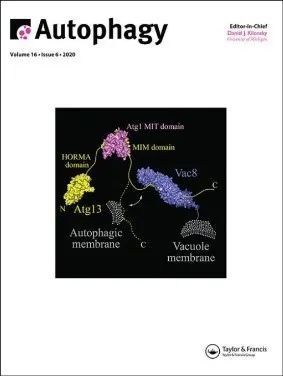最新Q1 SCI！一文了解Taylor & Francis旗下高影响力期刊！_腾讯新闻