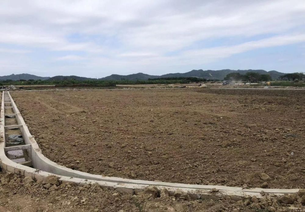 变化太大了！汕头隆都镇60亩荒地变身“一村一品”特色农业园_腾讯新闻