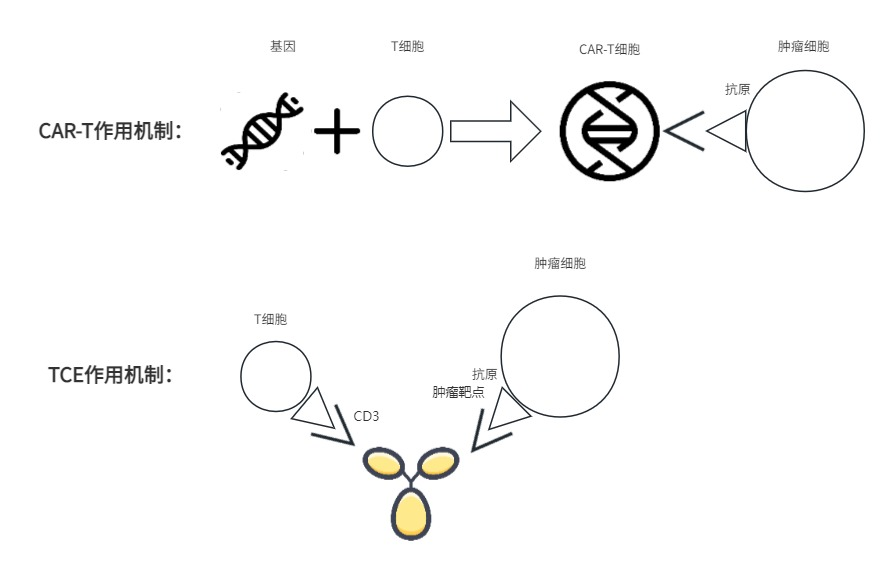 中国TCE双抗，走在世界前列_腾讯新闻