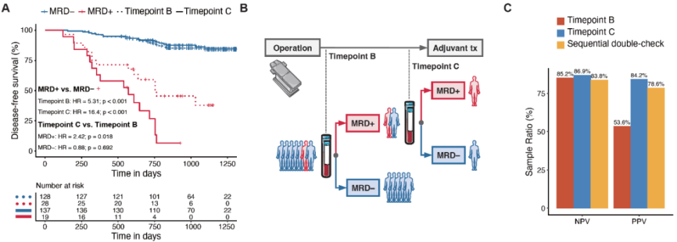 全球首个早期肺癌头对头对比MRD检测策略的前瞻性临床研究结果发布 | Cancer Cell（IF 50.3）_腾讯新闻