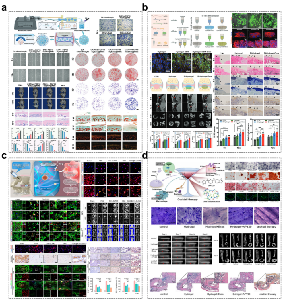 《Bioact. Mater.》四川大学华西医院解慧琪综述：组织工程中的水凝胶-外泌体系统——一种有前途的治疗策略_腾讯新闻