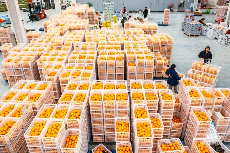 4月27日 锁定央广网直播间！共赴屈原故里 探索秭归脐橙的“橙”功之路_腾讯新闻