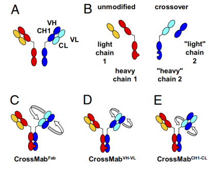 喜忧参半，双抗ADC进击之路_腾讯新闻