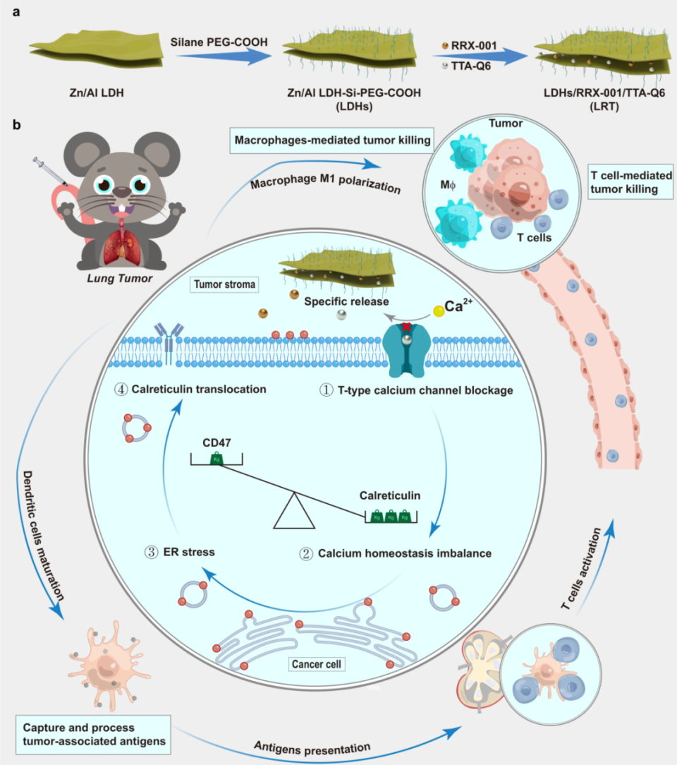 【Nature子刊】同济大学医学院施剑林院士团队发文：揭示肺癌联合免疫治疗创新策略_腾讯新闻