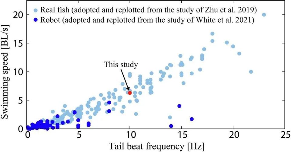 npj Robotics发表 日本研究团队打造基于连续体直驱仿生鱼_腾讯新闻