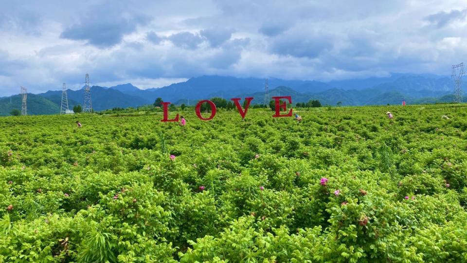 宝鸡市渭滨区：沃野换新颜 乡村展新姿_腾讯新闻