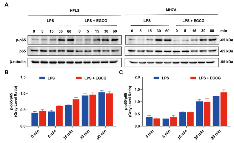 AbMole推荐-LPS（脂多糖）从免疫激活到动物造模的最新应用_腾讯新闻