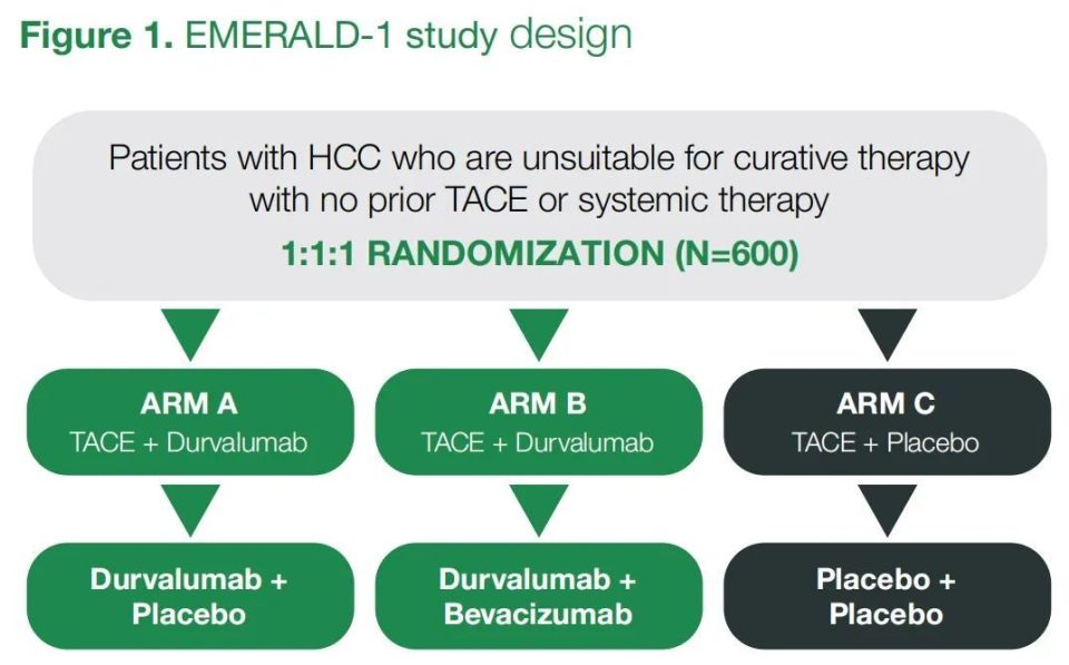 TACE+靶免治疗肝细胞癌全球III期成功，汇总TACE研究_腾讯新闻