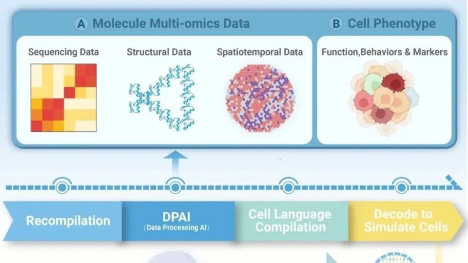 The Innovation Life | Split-HaloTag：为细胞生理活动的精准记录提供新方案_腾讯新闻