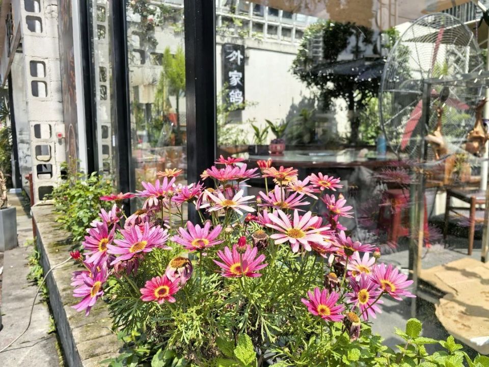快来打卡！毕节这里藏着一处“城市后花园”_腾讯新闻