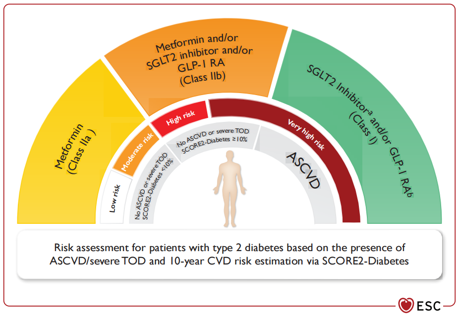 重磅！欧洲「糖尿病和心血管疾病管理指南」发布，16项推荐要点一文汇总_腾讯新闻
