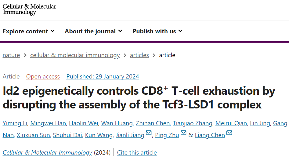 CMI | 上海大学陈亮等团队合作发现CD8+T细胞耗竭的调控新机理_腾讯新闻