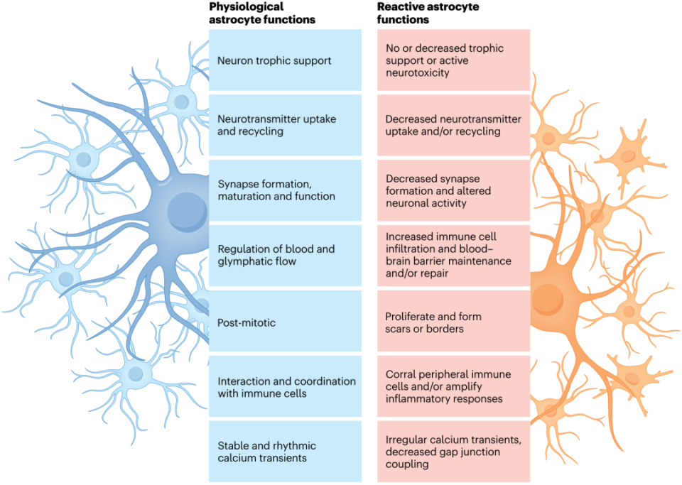 Nat Rev Neurol:反应性星形胶质细胞在神经炎症和神经退行性疾病中的作用_腾讯新闻