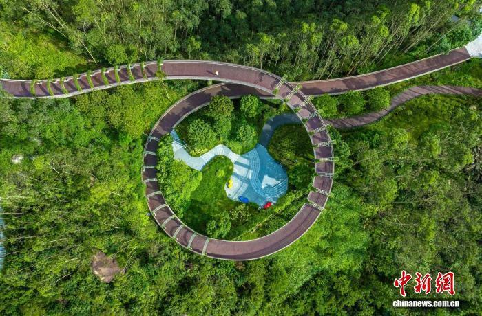 “十四五”广东国土绿化实现“量增、质提、氛围浓”_腾讯新闻