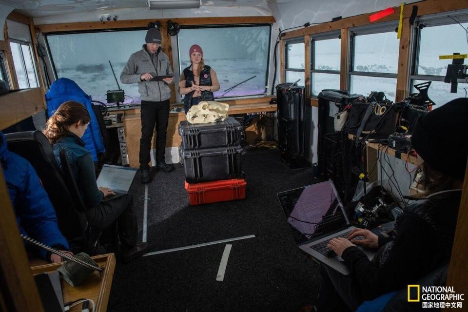 生活在北极熊身边，你也许需要一台“熊达”_腾讯新闻