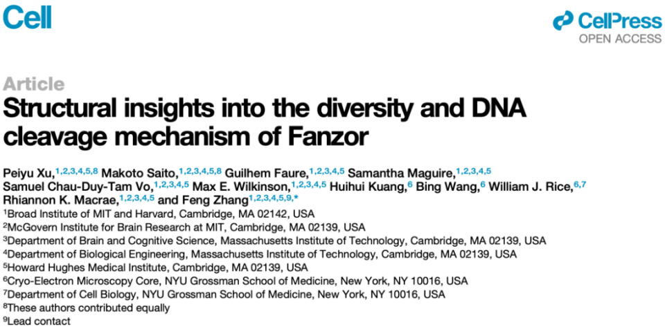 张锋最新Cell论文：揭示真核基因编辑器Fanzor结构多样性和切割机制_腾讯新闻