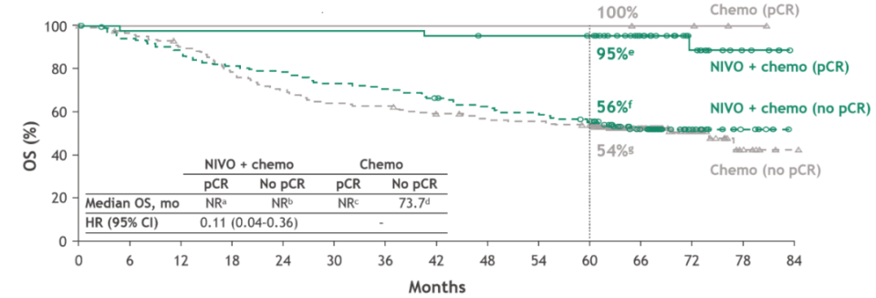 5 年 OS 率 65%，CheckMate-816 研究最终生存结果确立新辅助免疫治疗基石地位 | 2025 ASCO_腾讯新闻