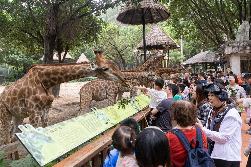 Video｜Crowed places in Guangdong during May Day holiday_腾讯新闻