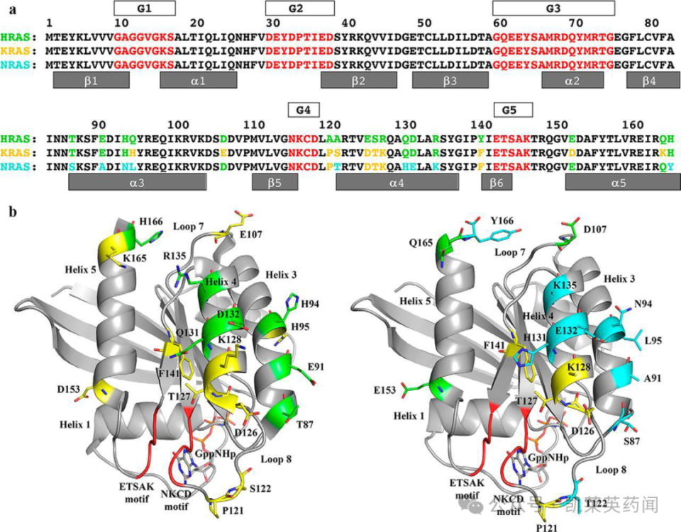 3.45亿美元！嘉越医药将Pan-RAS分子胶授权给美国ERASCA_腾讯新闻