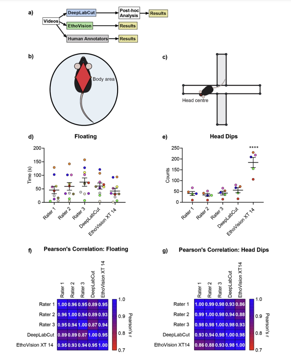 脑声常谈丨AI算法崛起：DeepLabCut等工具颠覆传统动物行为分析方法_腾讯新闻