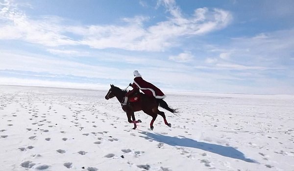 追忆贺娇龙：若为热爱，便所向披靡_腾讯新闻
