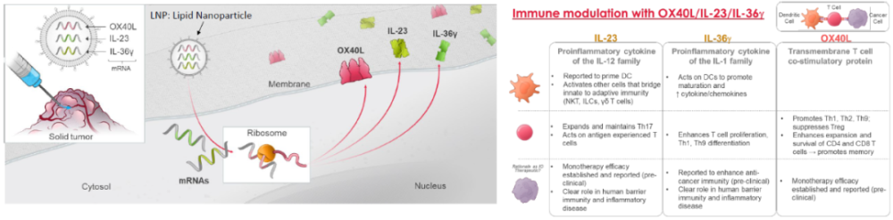 Moderna未来5年计划：15款新疗法上市，针对这些疾病_腾讯新闻