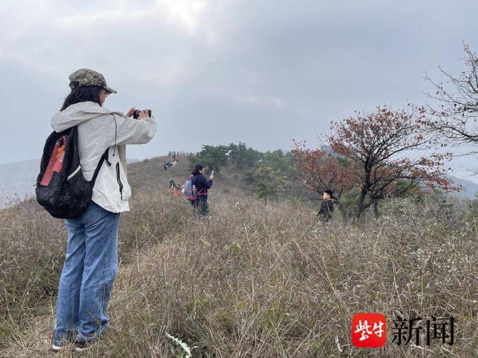 记者随宿迁户外群周末冲蒙山，探寻都市人“山野撒欢”的逻辑密码_腾讯新闻
