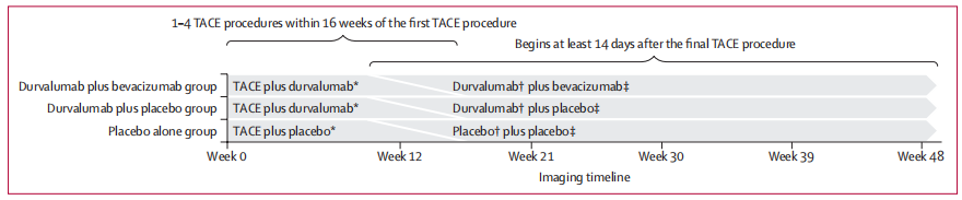 研究进展 | EMERALD-1研究：TACE联合靶免，肝癌治疗的“新策略”_腾讯新闻