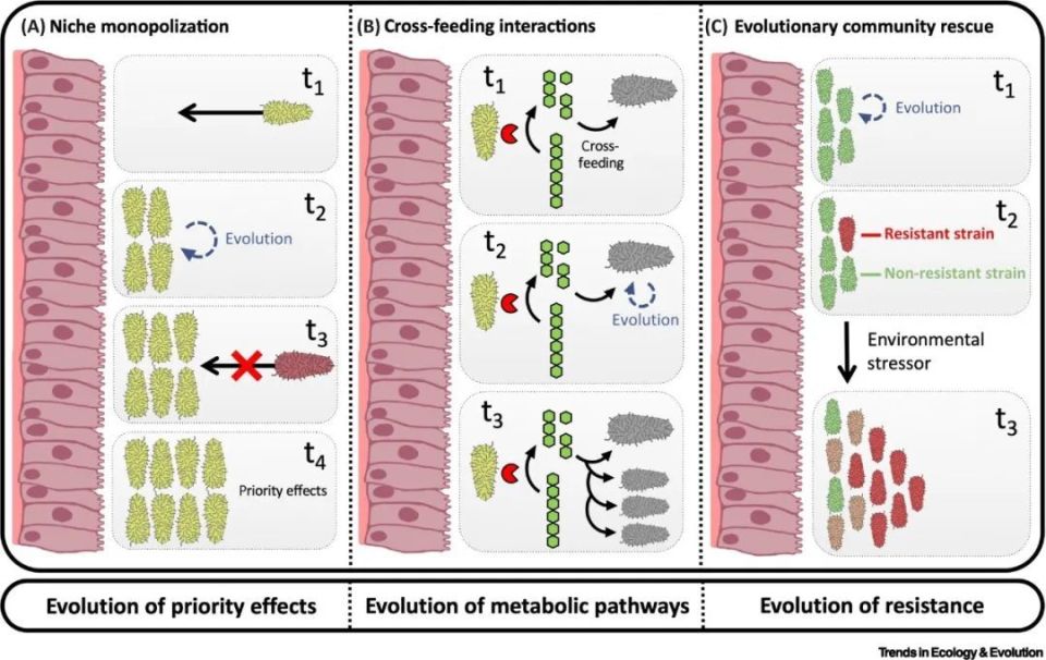 Trends in Ecology & Evolution | 2024年度综述_腾讯新闻