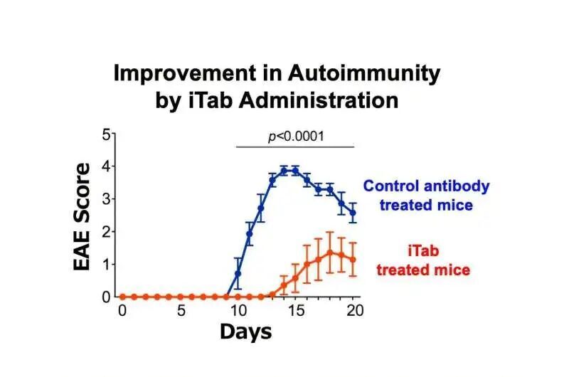 Nature Communications| 新型免疫诱导型TCR样抗体（iTabs）的发现为自身免疫病治疗开辟新途径_腾讯新闻