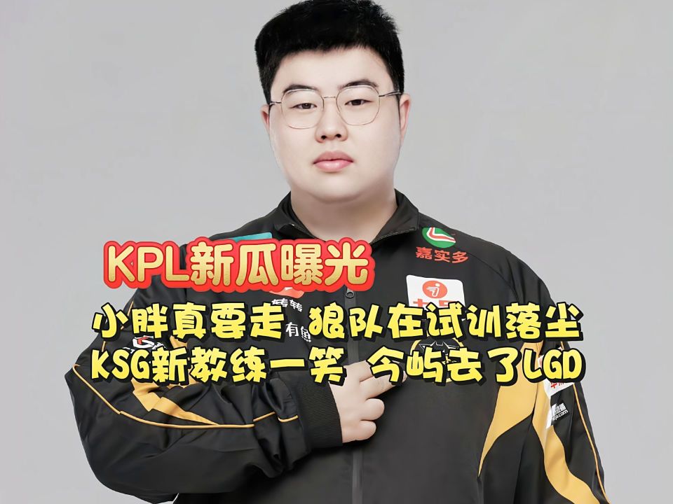 Cat夏季赛确定复出，大帅要成AG替补？KPL新瓜曝光：风箫去了KSG_腾讯新闻