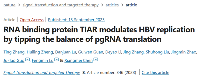 STTT | 鲁凤民/陈香梅团队揭示宿主RNA结合蛋白TIAR调控乙型肝炎病毒复制的新机制_腾讯新闻