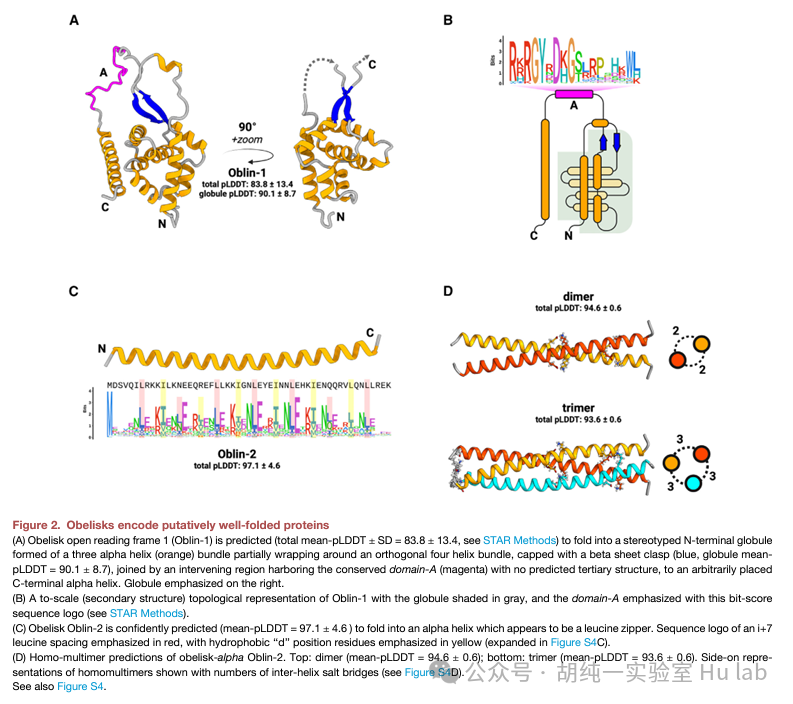 Cell| 新研究揭示人类微生物组蕴含独特的RNA类病毒Obelisks_腾讯新闻