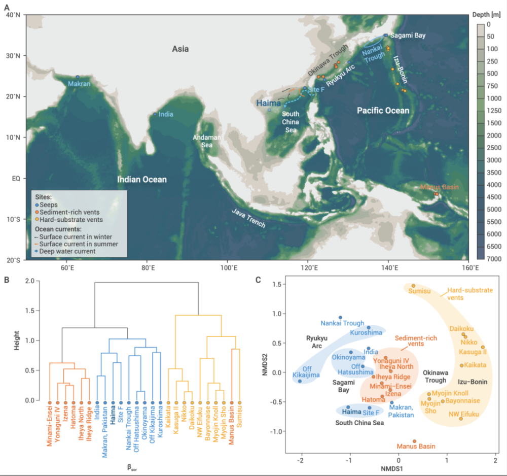 The Innovation Geoscience | 同（海）床异梦：南海海马冷泉生物群落具有高度特异性_腾讯新闻