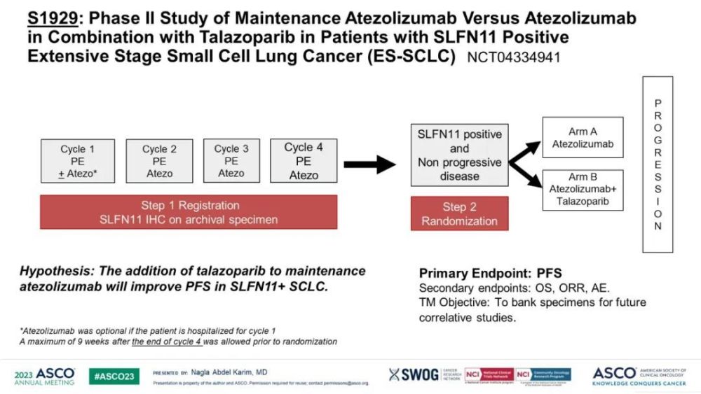 ASCO热评丨程颖教授点评SWOG S1929：以标志物引导的SCLC个体化治疗的重要探索_腾讯新闻
