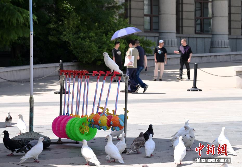 河北石家庄遇高温天气 最高气温达39℃_腾讯新闻