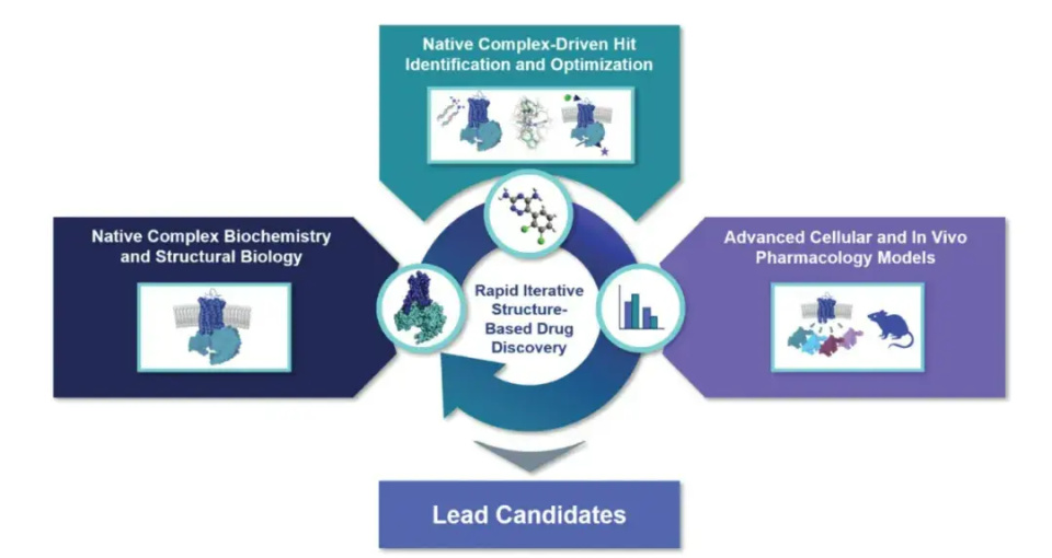 生物技术公司Septerna纳斯达克上市：市值8.8亿美元 路演PPT曝光_腾讯新闻