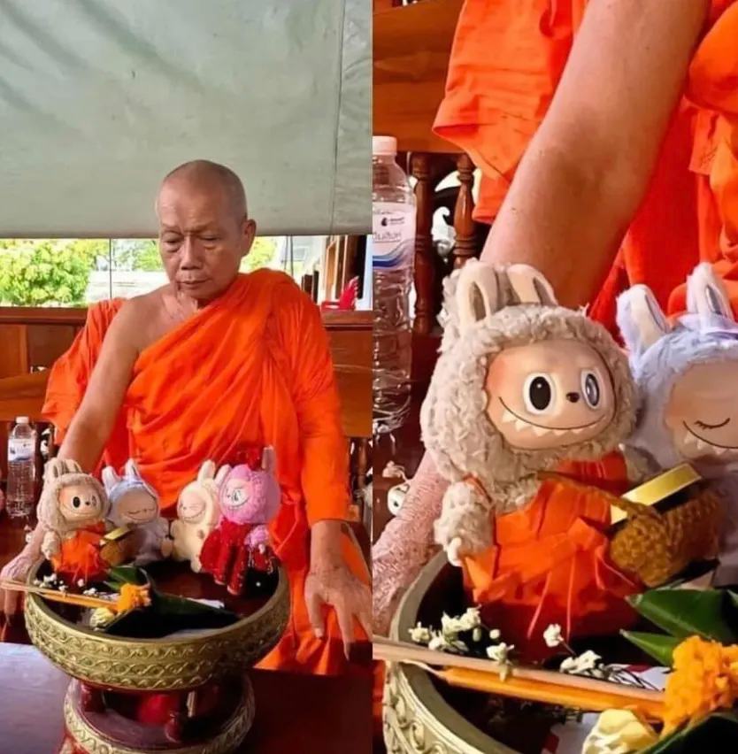 大学生炒Labubu，日入两万_腾讯新闻