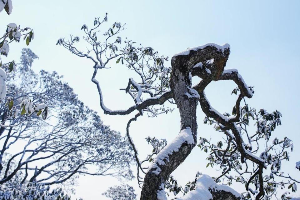 浙江天台华顶山：雪后初霁 雾凇奇观引客来_腾讯新闻