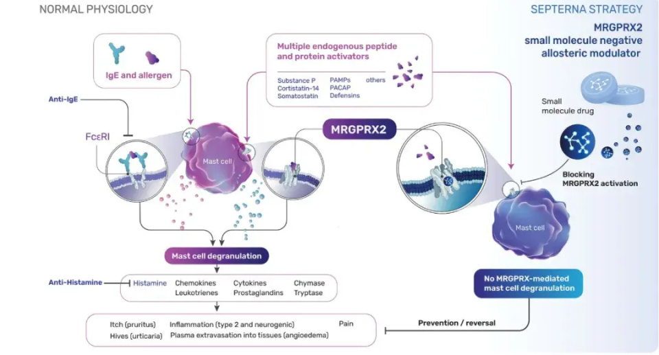 生物技术公司Septerna纳斯达克上市：市值8.8亿美元 路演PPT曝光_腾讯新闻
