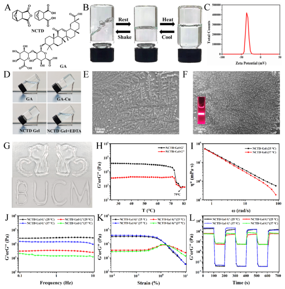 《Bioact. Mater.》北京中医药大学王鹏龙：天然小分子无载体可注射水凝胶实现激光介导的光-类芬顿抗肿瘤治疗_腾讯新闻