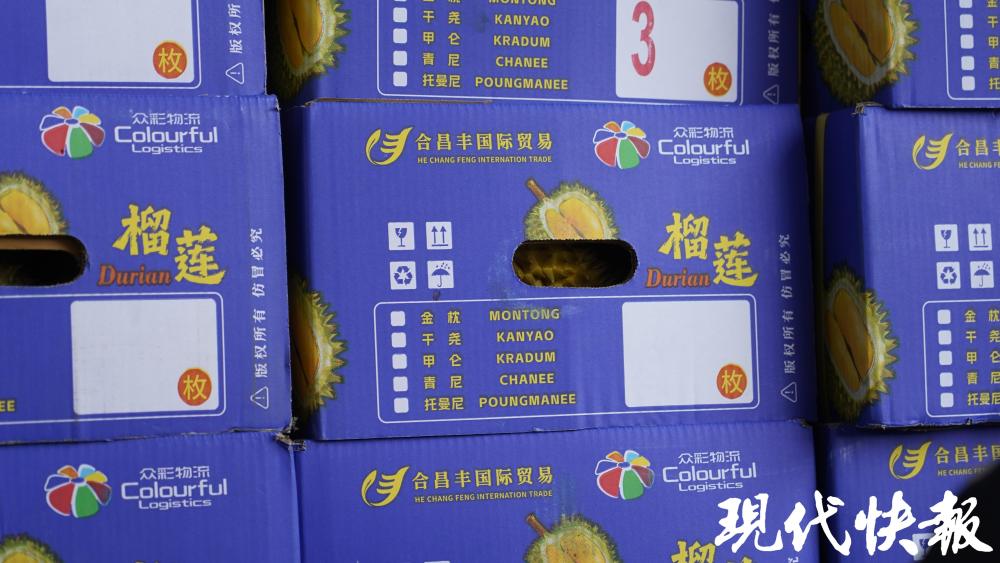 东南亚直采，南京众彩品牌榴莲首柜到货_腾讯新闻