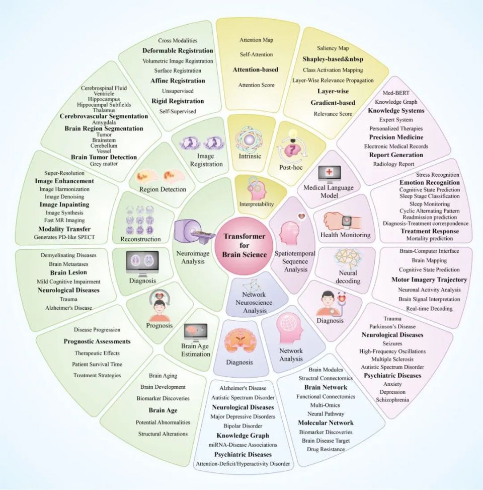 万字综述，Transformer架构在脑科学与脑疾病中有何应用？| 追问观察_腾讯新闻