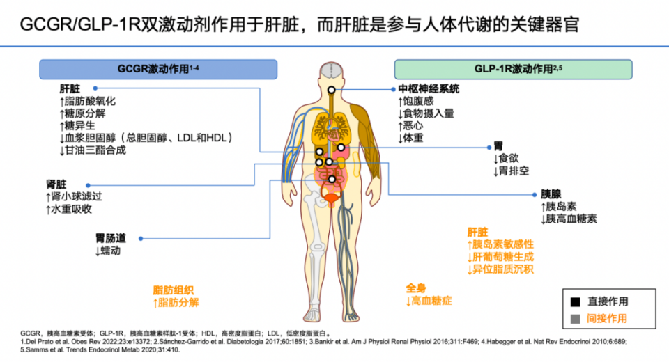 EASL重磅丨GCGR/GLP-1R双激动剂Survodutide再获突破：83%患者MASH改善，同类率先达成肝纤维化改善_腾讯新闻