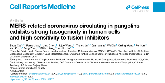 Cell Rep Med｜复旦大学夏帅/陆路/姜世勃及其合作团队揭示MERS相关冠状病毒的膜融合入侵机制和开发高效膜融合抑制剂_腾讯新闻