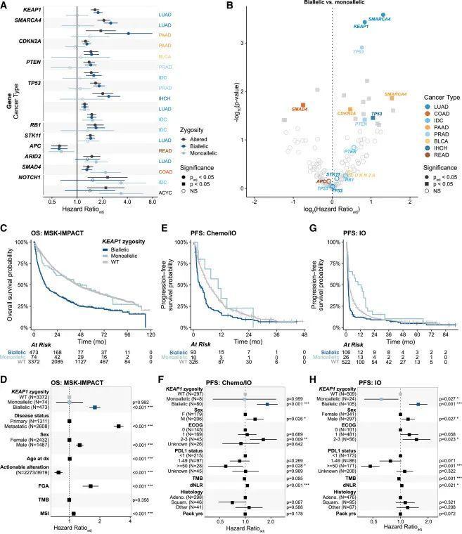 【Cell】肿瘤抑制基因新发现：KEAP1合性成为肺癌预测的关键生物标志物_腾讯新闻
