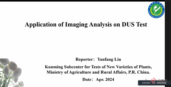 云南省农科院质标所在UPOV工作组会议上报告图像分析在DUS测试中的应用研究成果_腾讯新闻