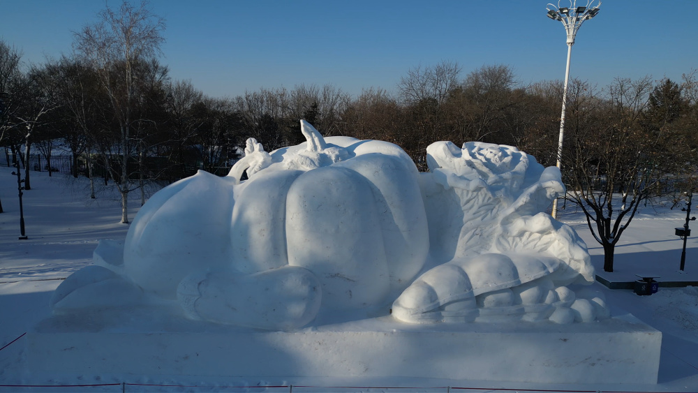 “国之重器”“百福迎宾”……太阳岛雪博会精美雪雕抢先看_腾讯新闻